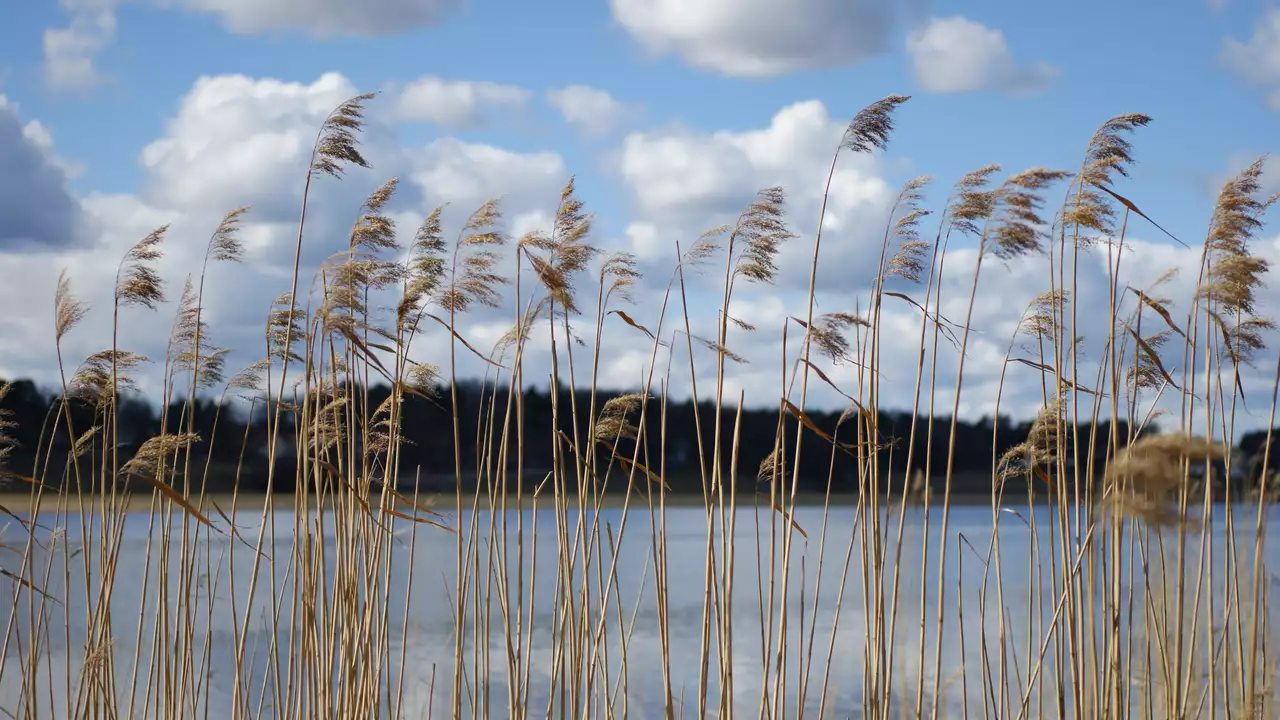 Research, development and innovation with a sharp focus on ...