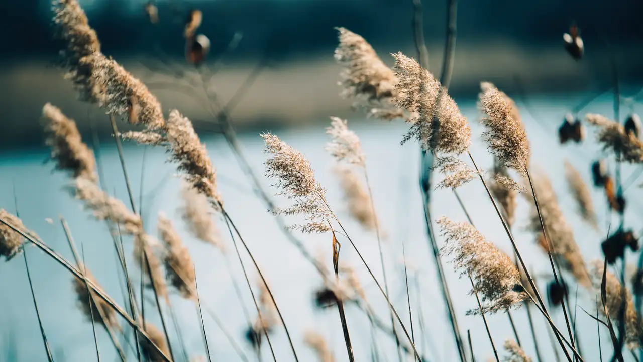 Arcada's sustainability work highlighted in national collection of ...